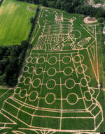 Crop Circle Gallery 73